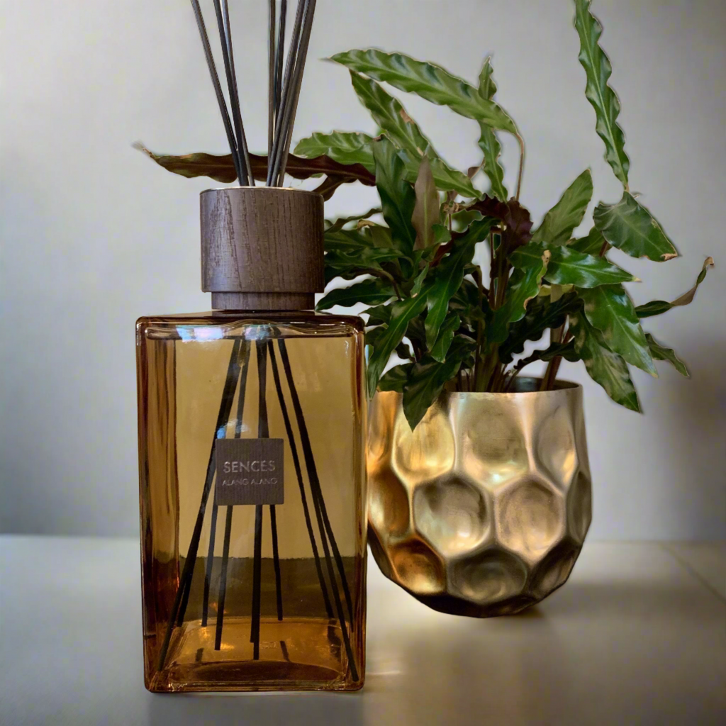 Scences Reed Diffuser in Amber and Ylang Ylang: Extra large – Margo & Plum